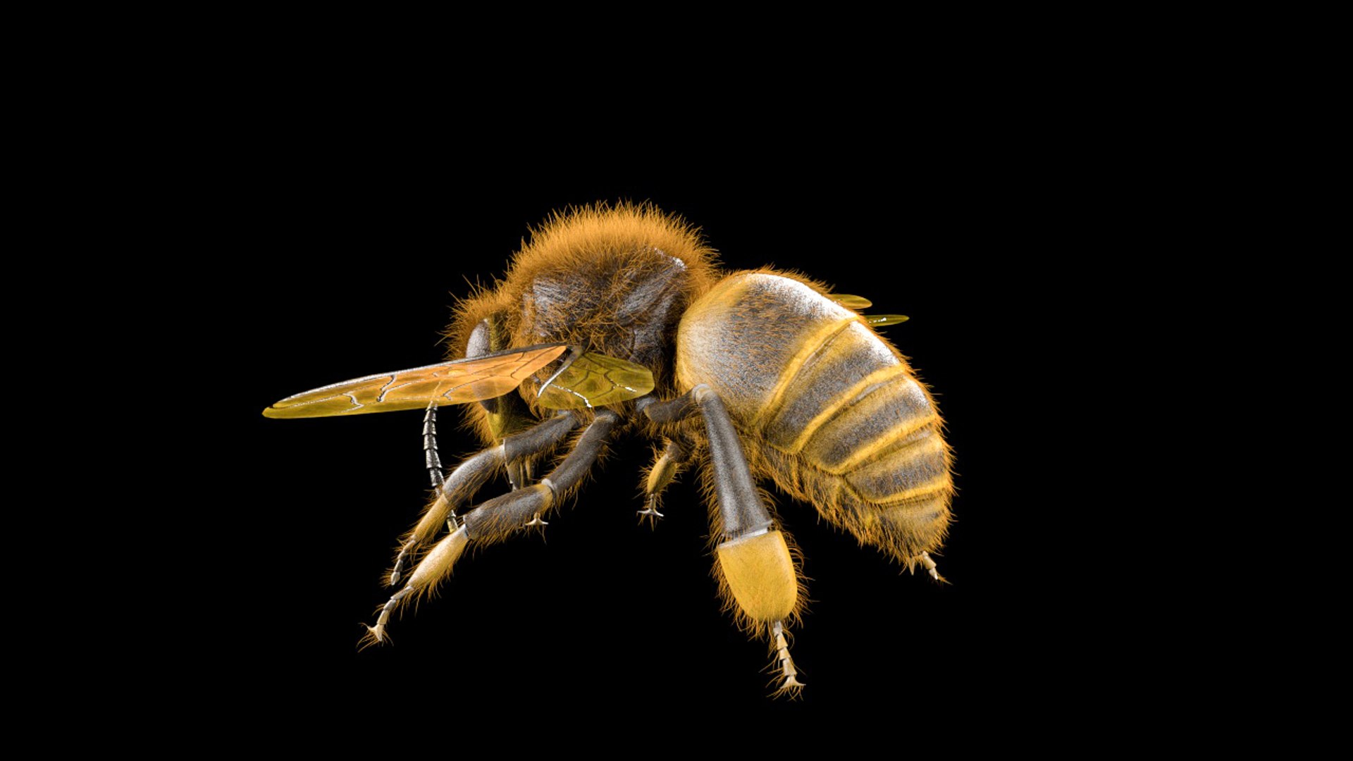 Rigged Model - TurboSquid 1537100