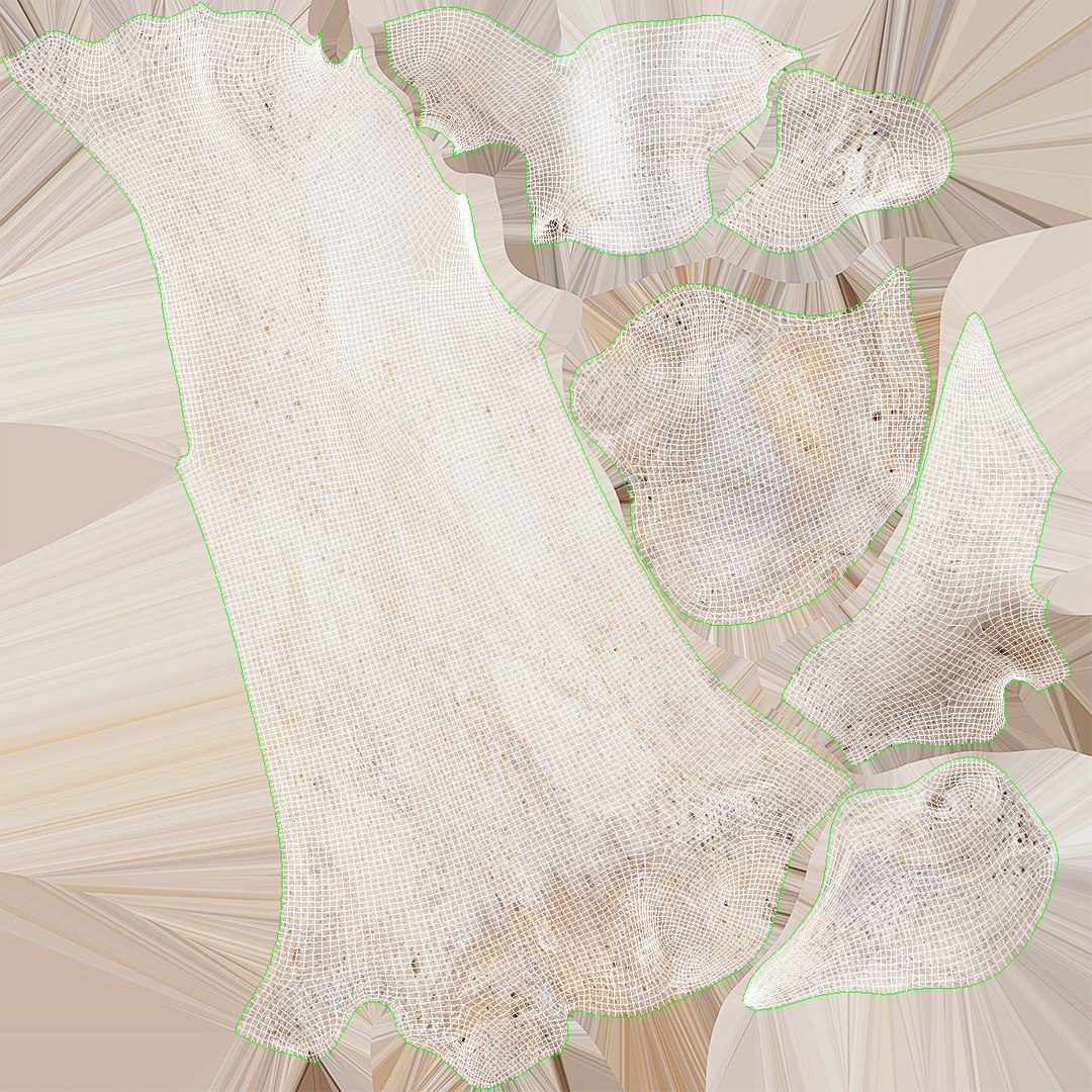 Bear Ursus Humerus 01 3D - TurboSquid 2153542