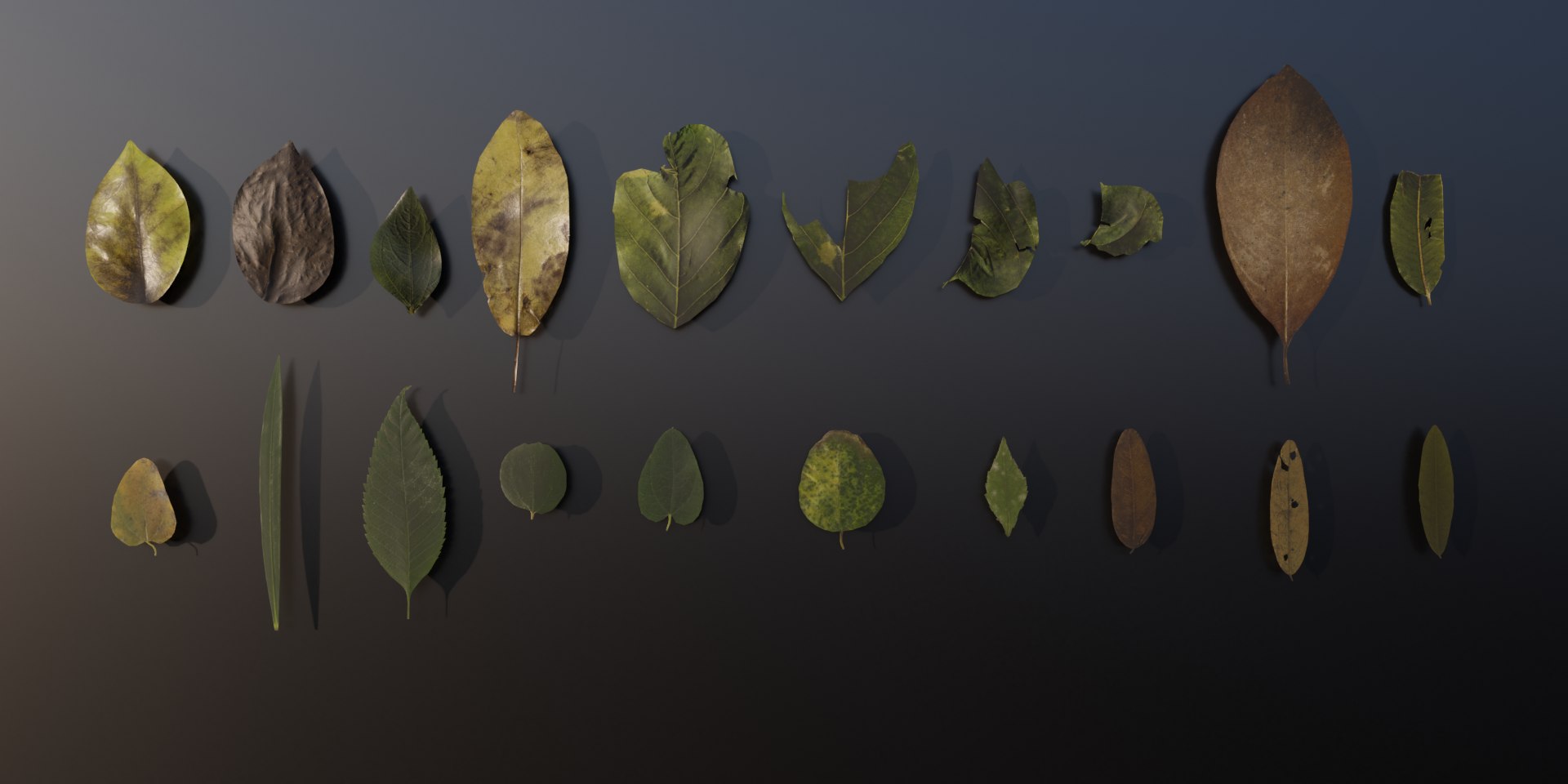Pack 20 Leaves 3D Model - TurboSquid 1653353
