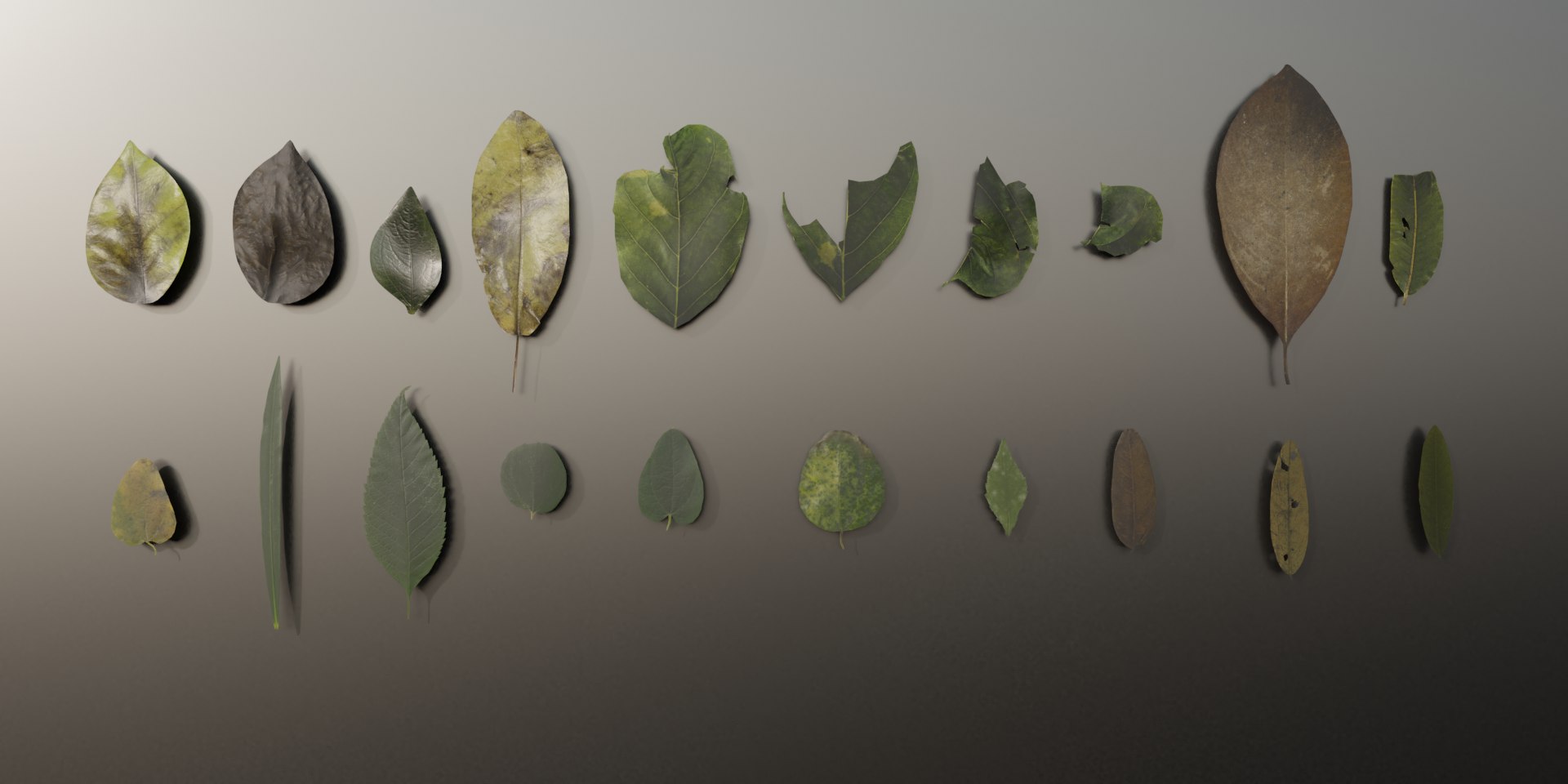 Pack 20 Leaves 3D Model - TurboSquid 1653353