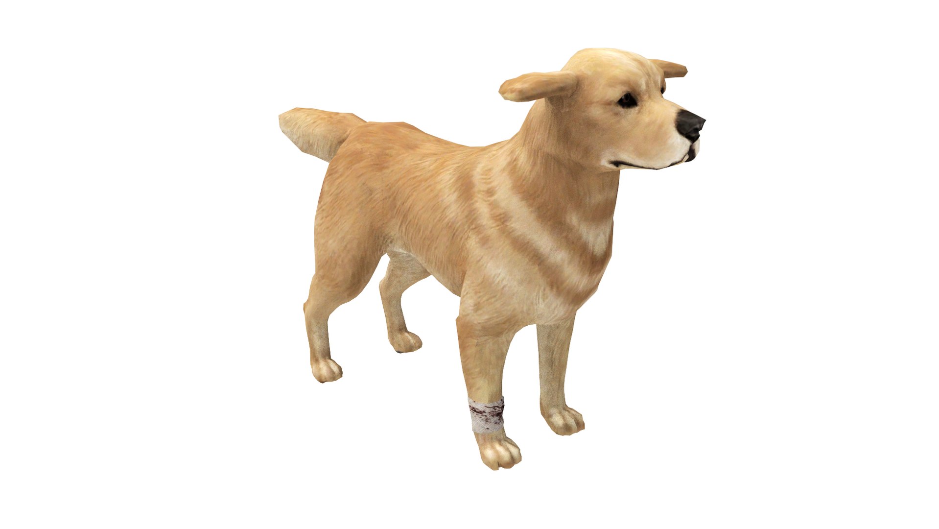 Dog 3D - TurboSquid 2172719