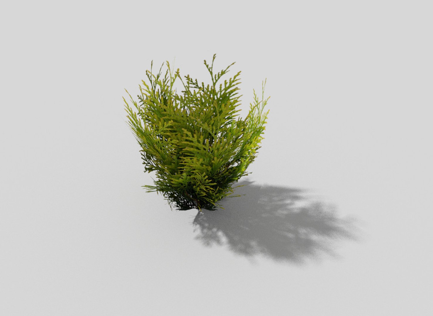 Shrub Games 3d Model