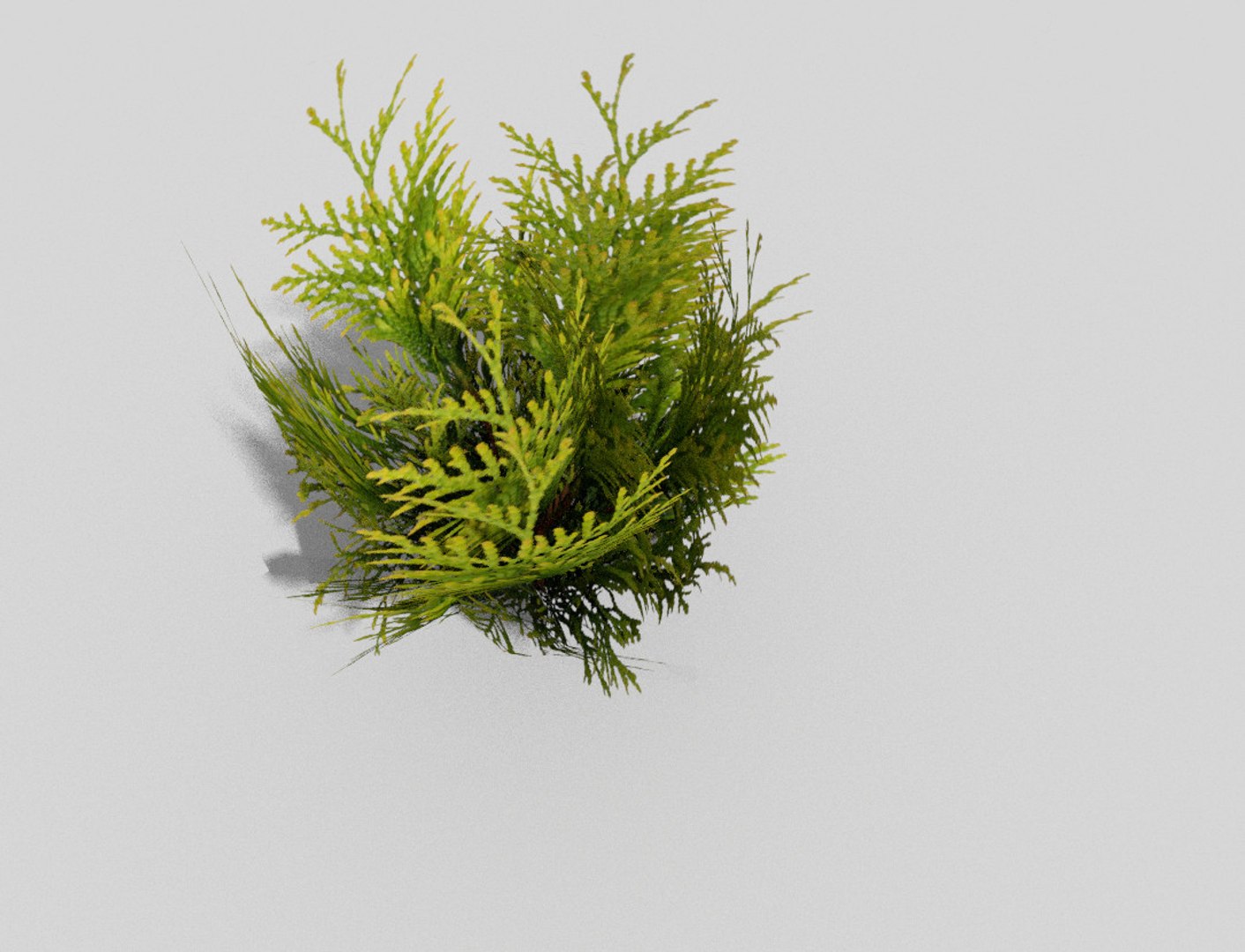 Shrub Games 3d Model