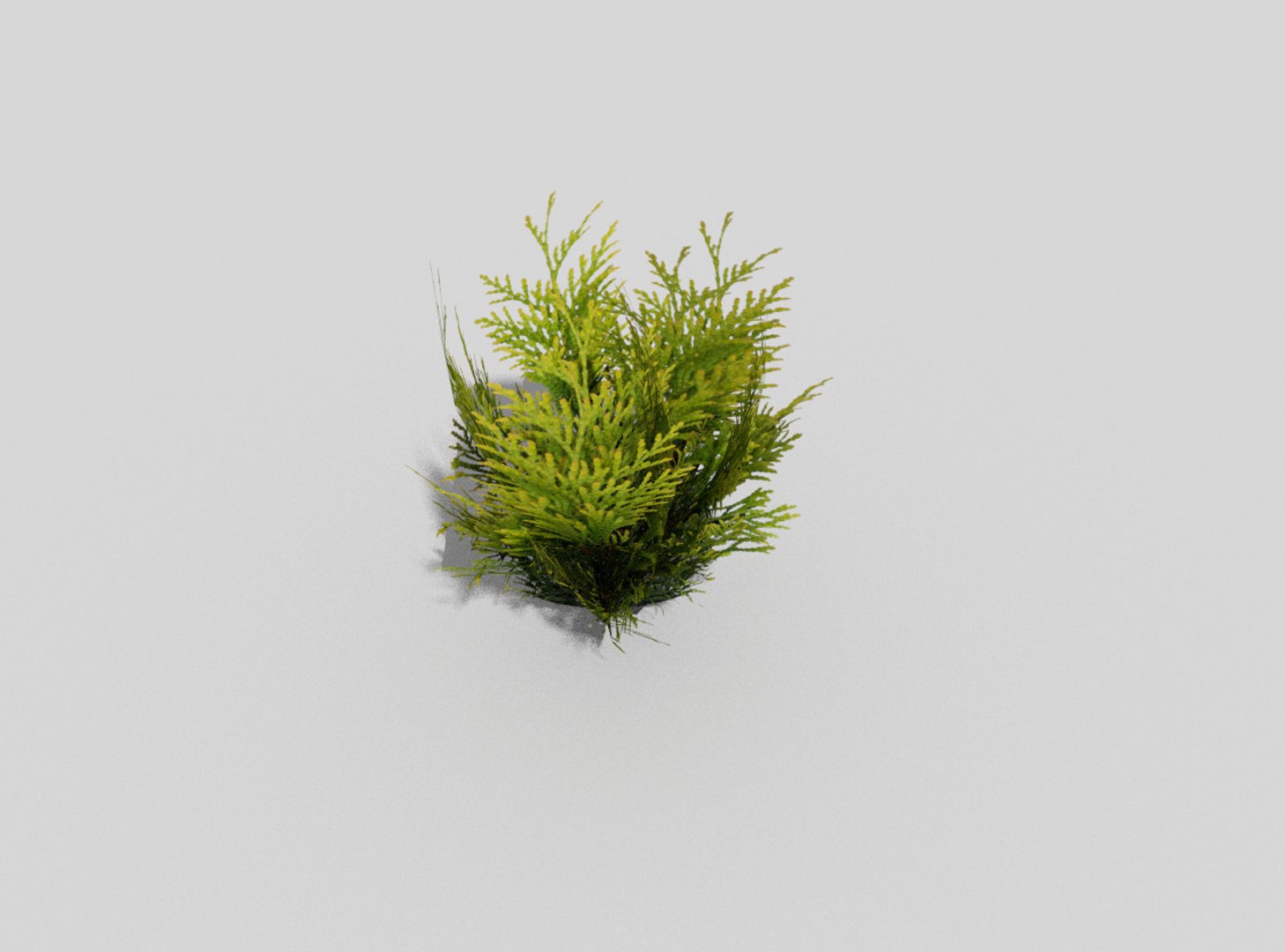 Shrub Games 3d Model
