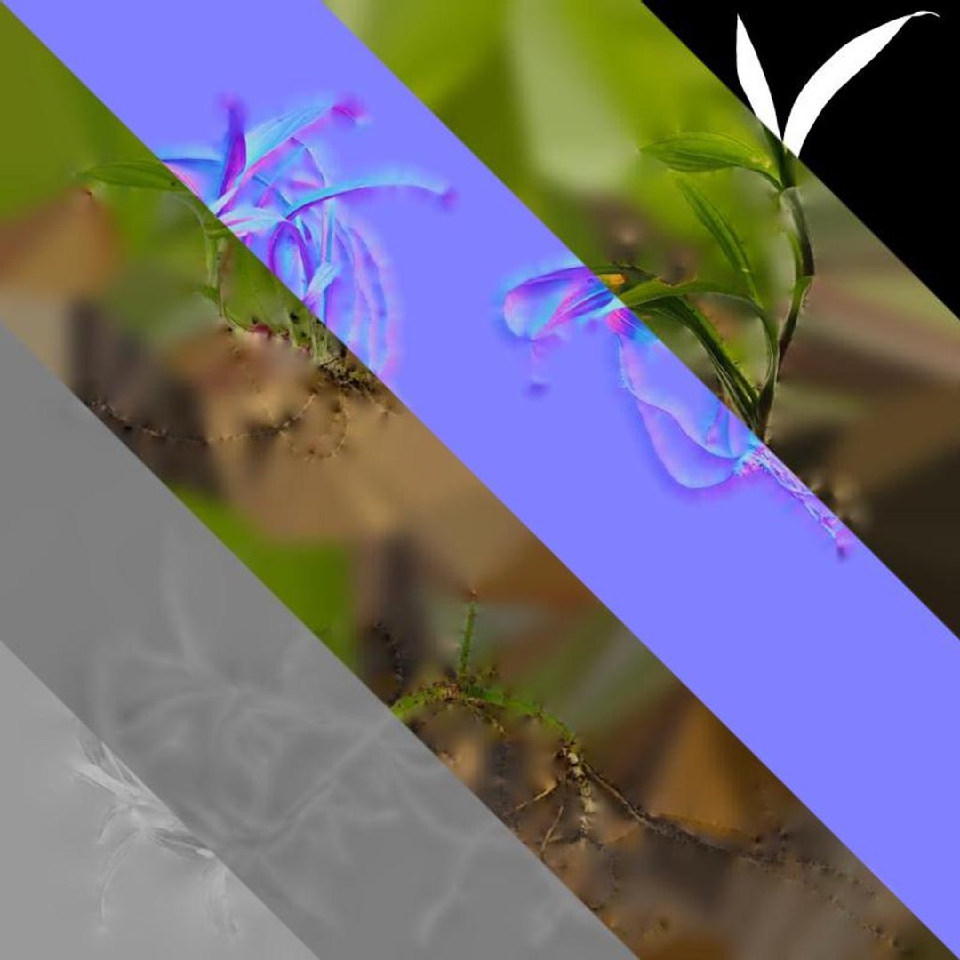 Anydrafts Dendrobium Moniliforme Atlas 02 Textures 3D Model ...