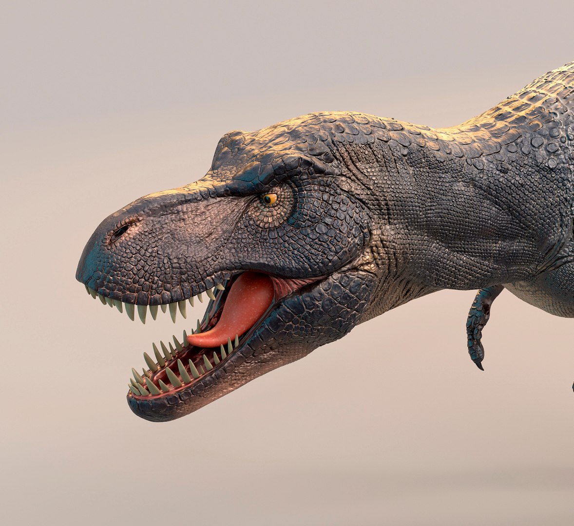 T Rex Model - TurboSquid 1596429