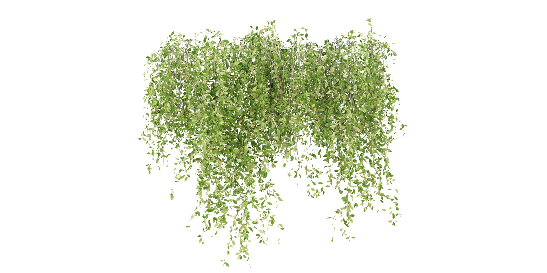 3D Collection plant vol 245 - blender model - TurboSquid 2088255