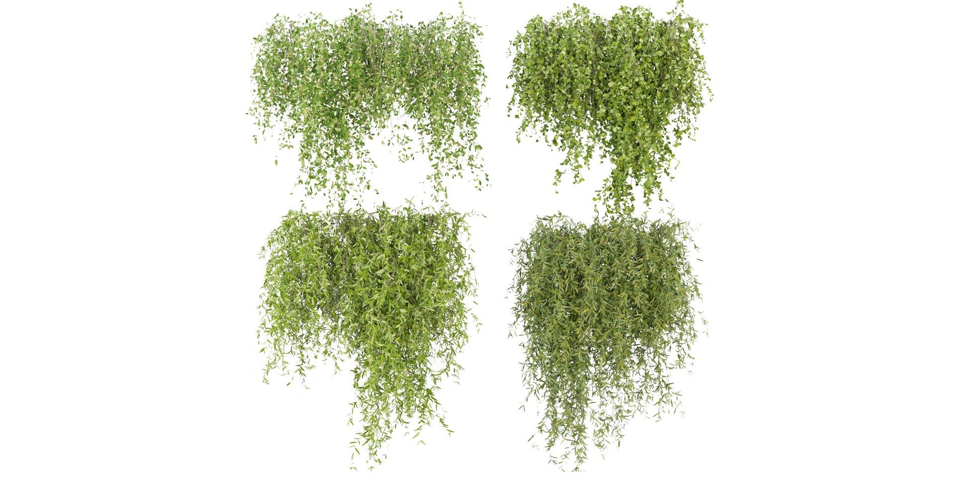 3D Collection plant vol 245 - blender model - TurboSquid 2088255