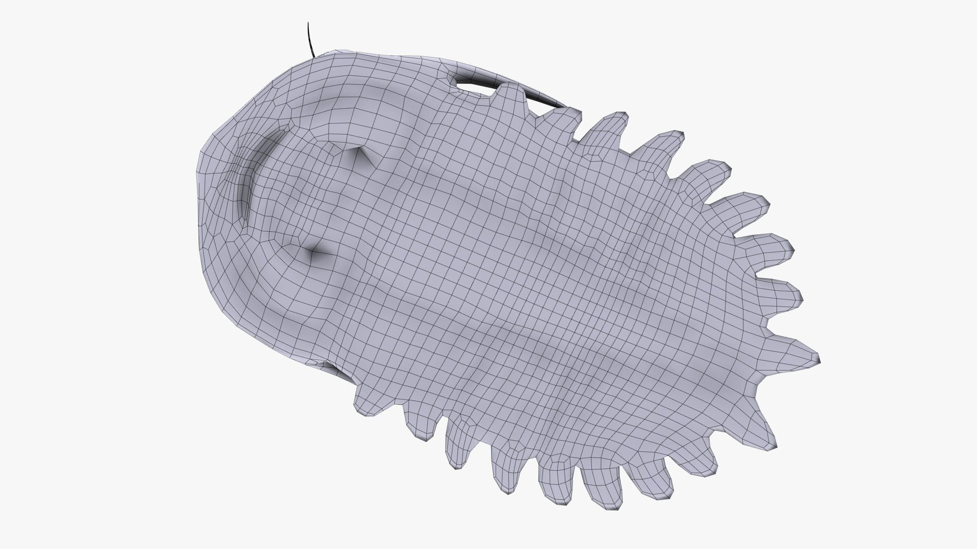 Trilobit 3D Model - TurboSquid 1203589