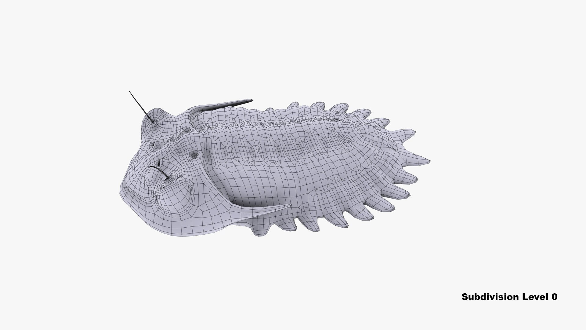 Trilobit 3D Model - TurboSquid 1203589