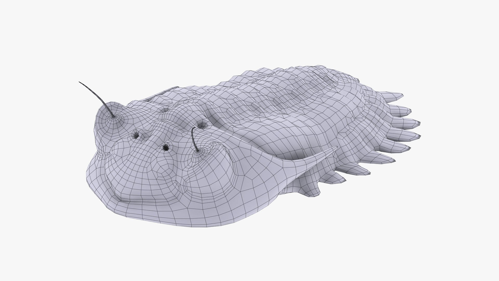 Trilobit 3D Model - TurboSquid 1203589