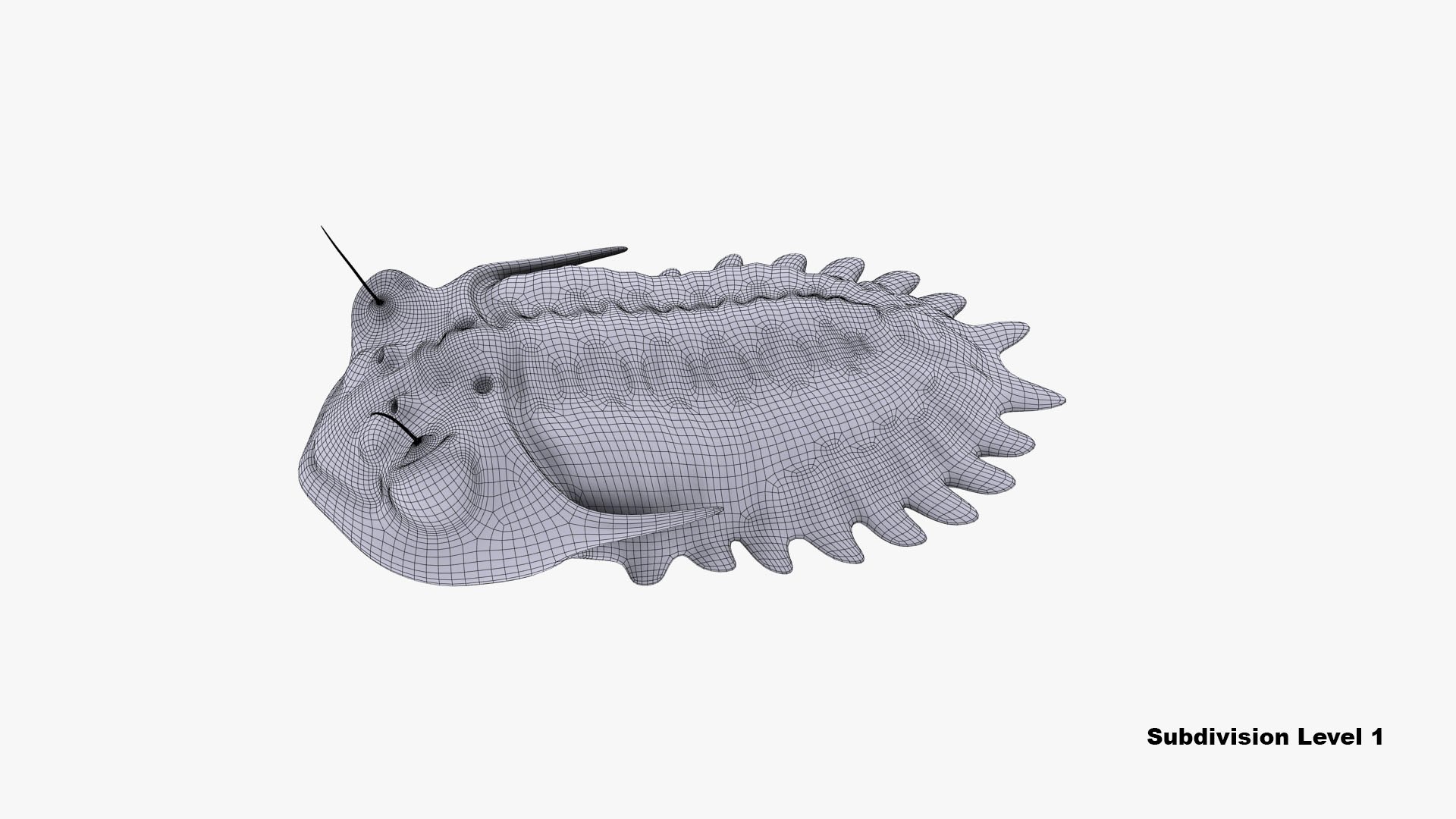 Trilobit 3D Model - TurboSquid 1203589