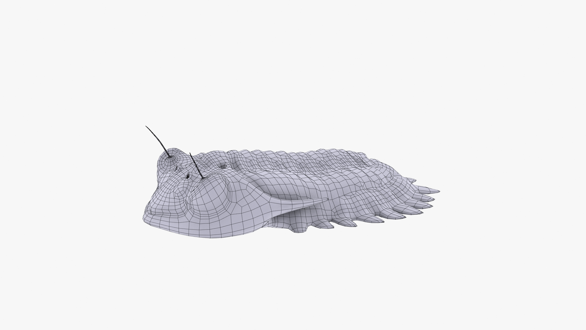 Trilobit 3D Model - TurboSquid 1203589