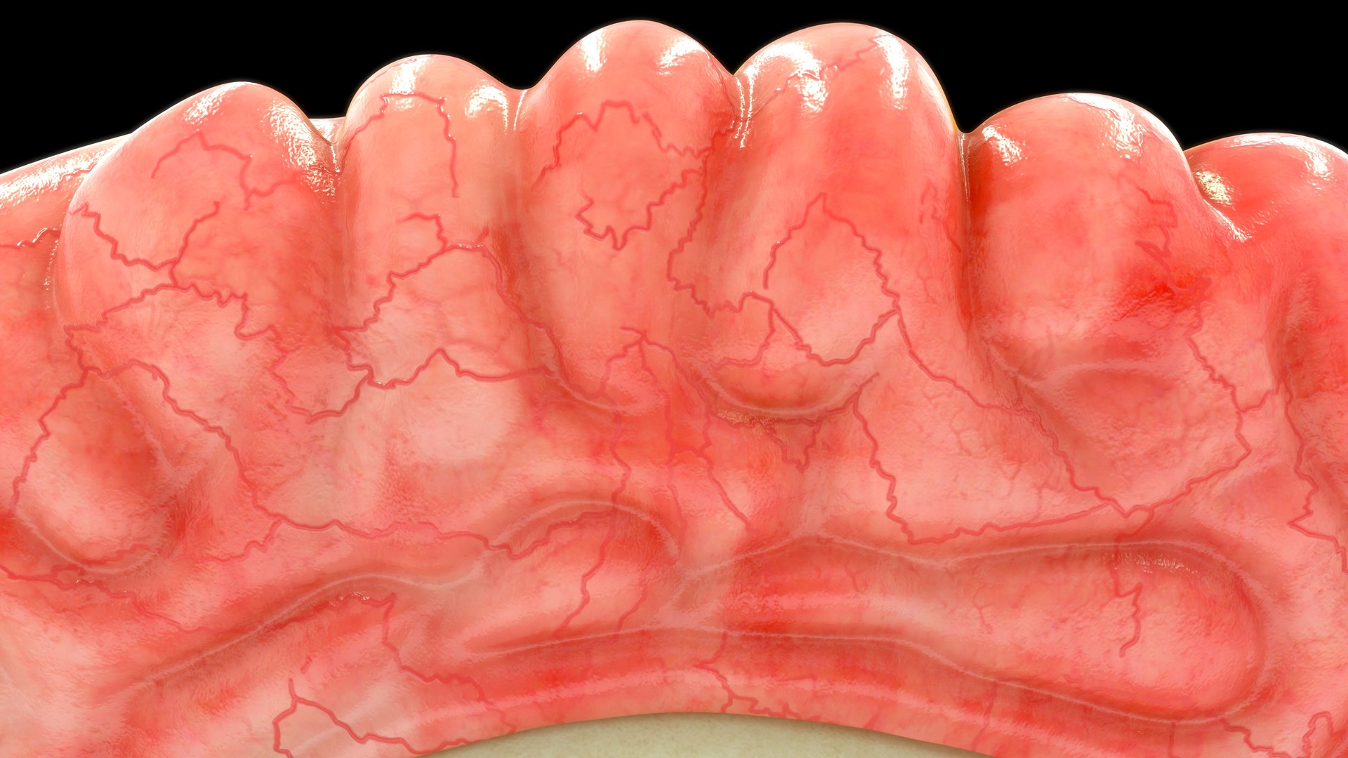 3D Human Brain Cross Section Model - TurboSquid 2190102
