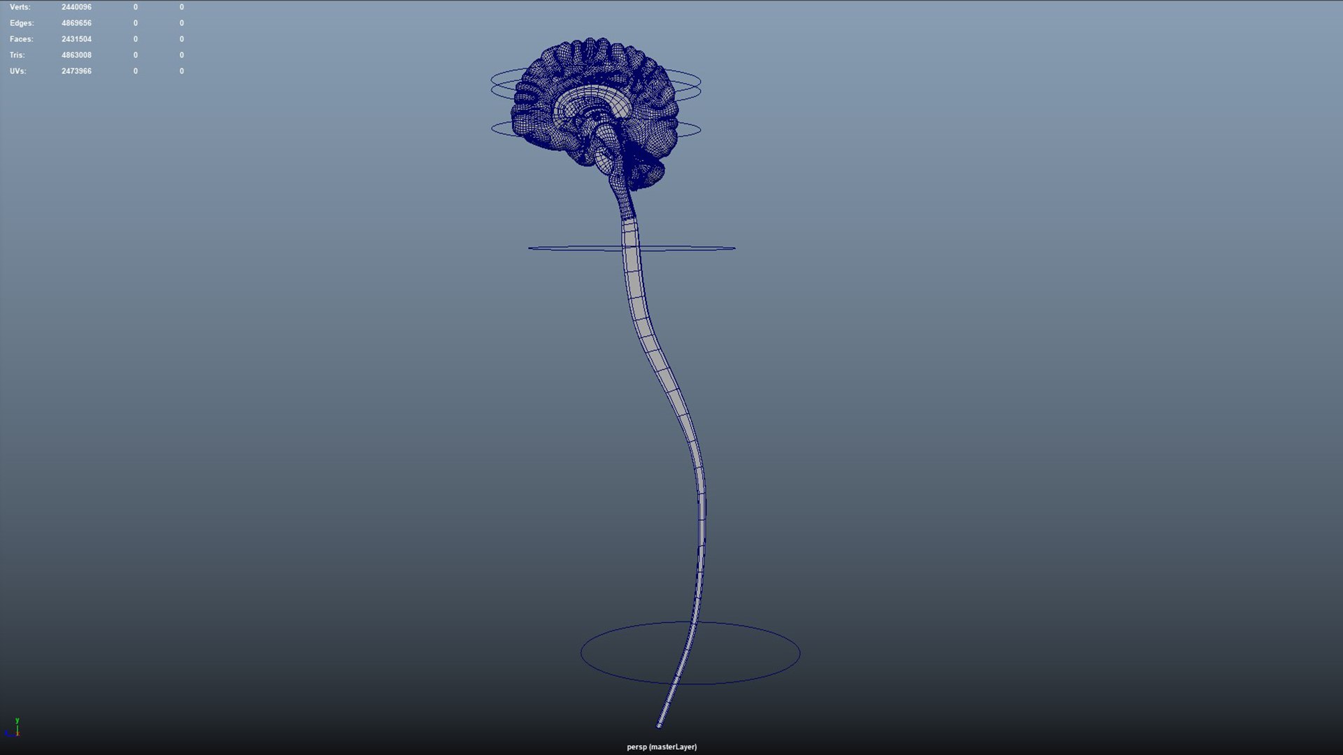 3D Human Brain Cross Section Model - TurboSquid 2190102