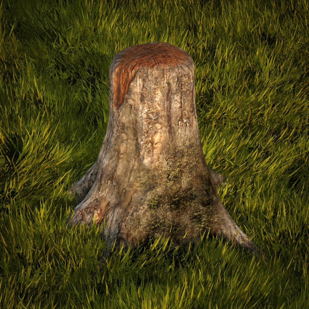 Tree Stumps Obj