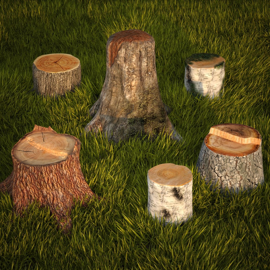 Tree Stumps Obj
