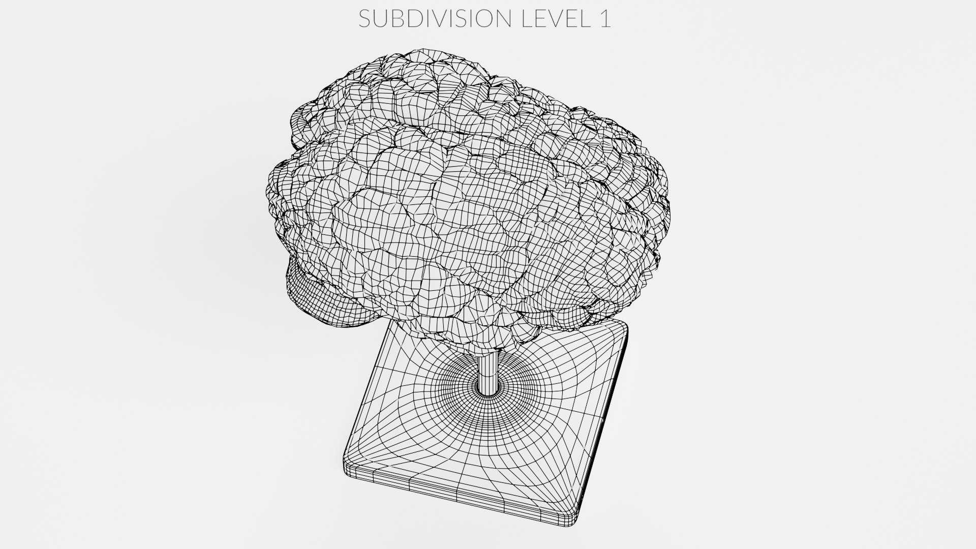 3D Brain Model On Stand - TurboSquid 2024684