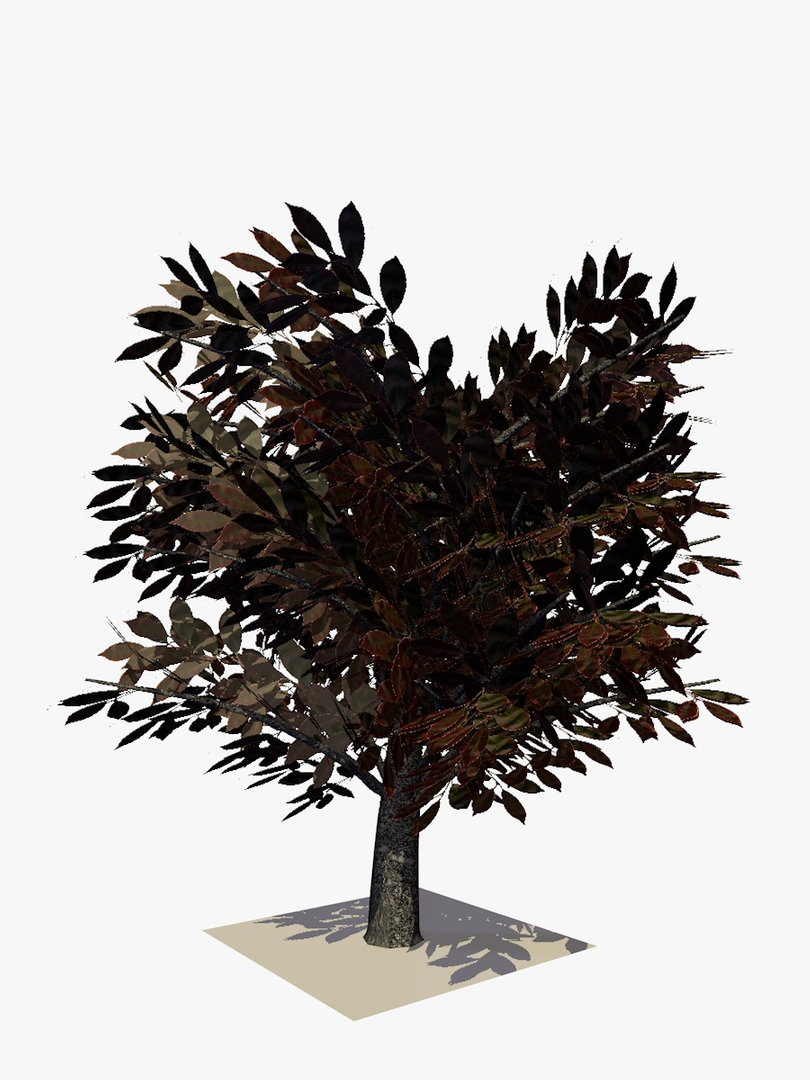 3d Model Bush Animations Tree