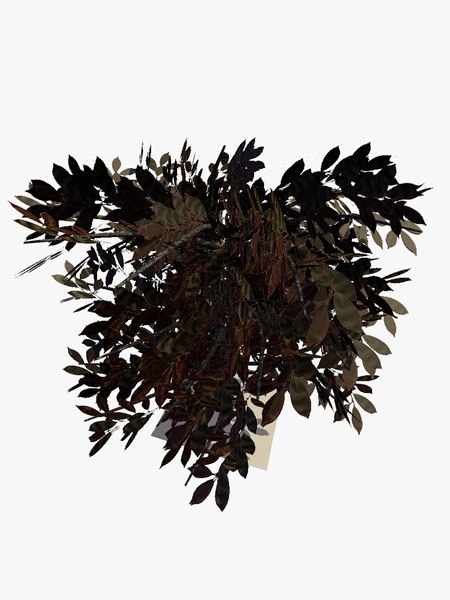 3d model bush animations tree