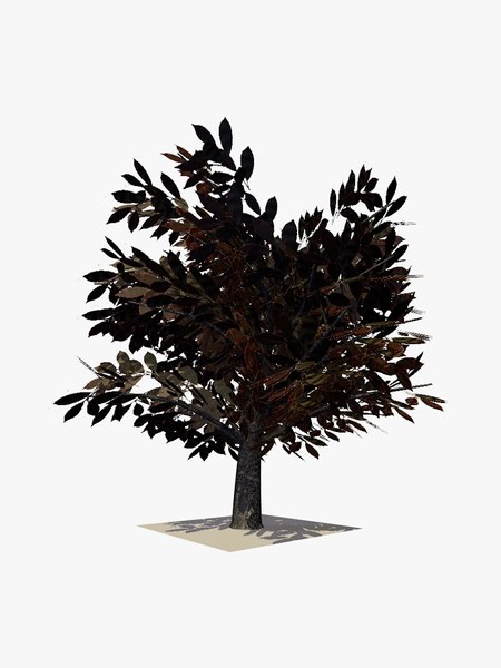 3d model bush animations tree