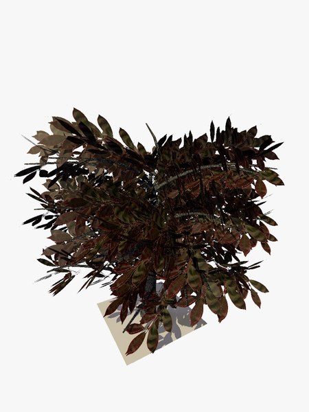3d model bush animations tree