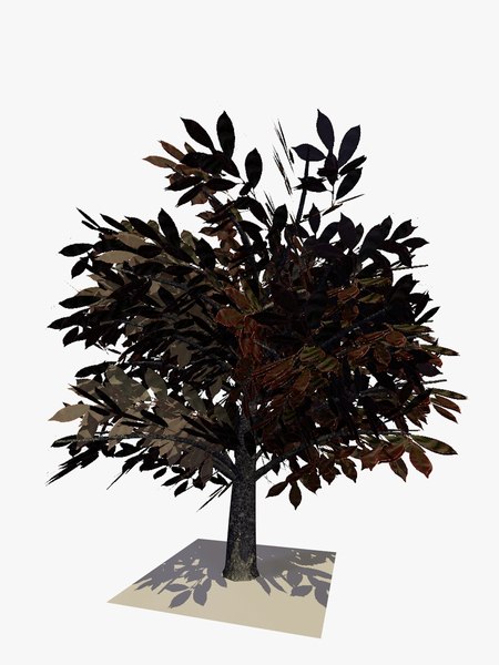 3d model bush animations tree