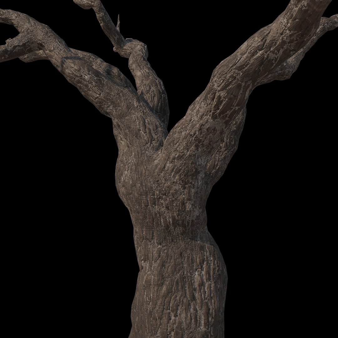 3D Scary Trees Kit Pbr - TurboSquid 1373089