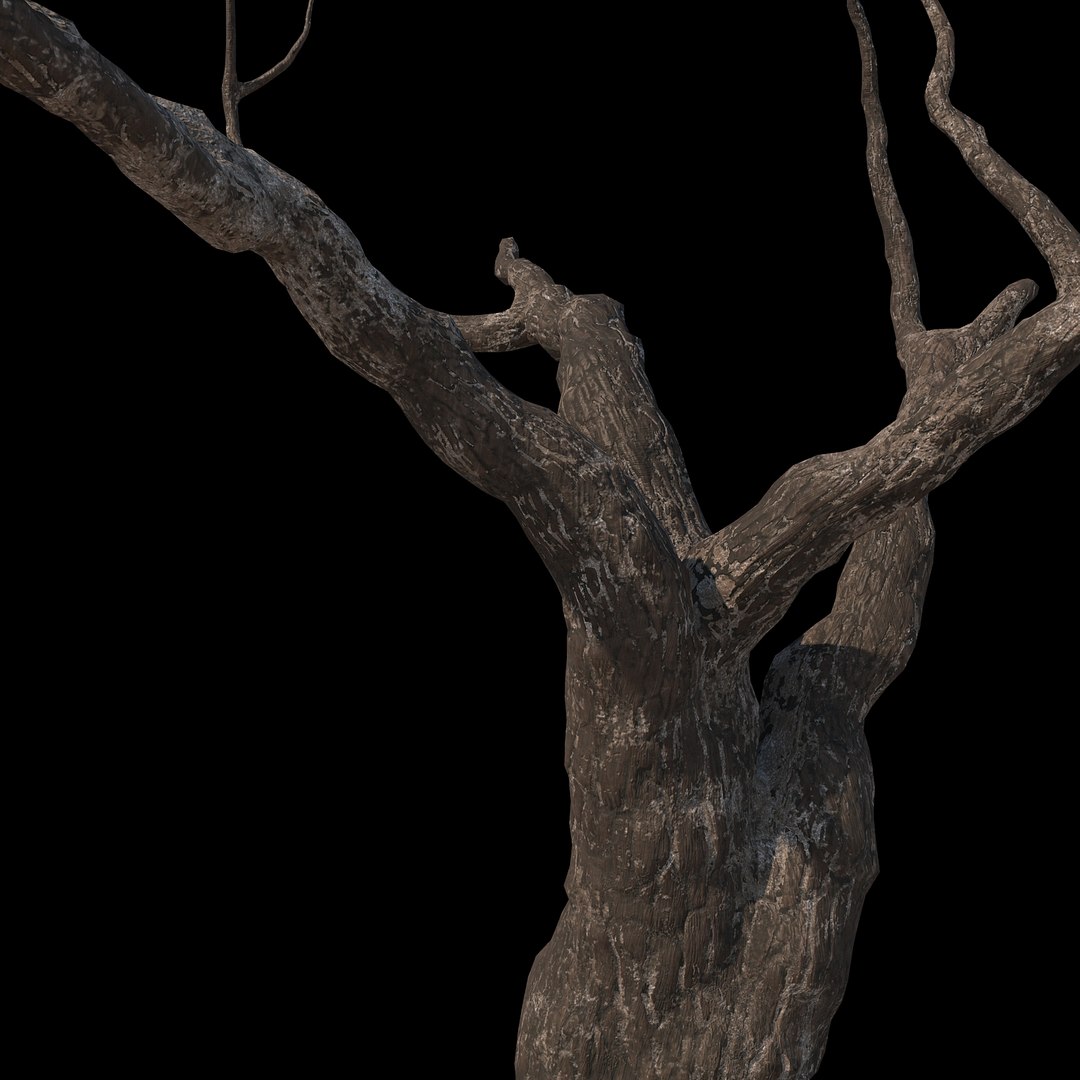 3D Scary Trees Kit Pbr - TurboSquid 1373089