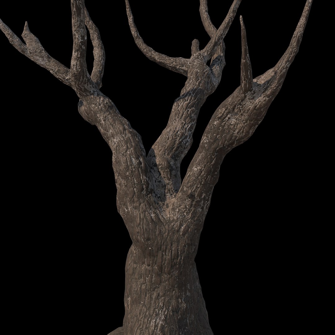 3D Scary Trees Kit Pbr - TurboSquid 1373089