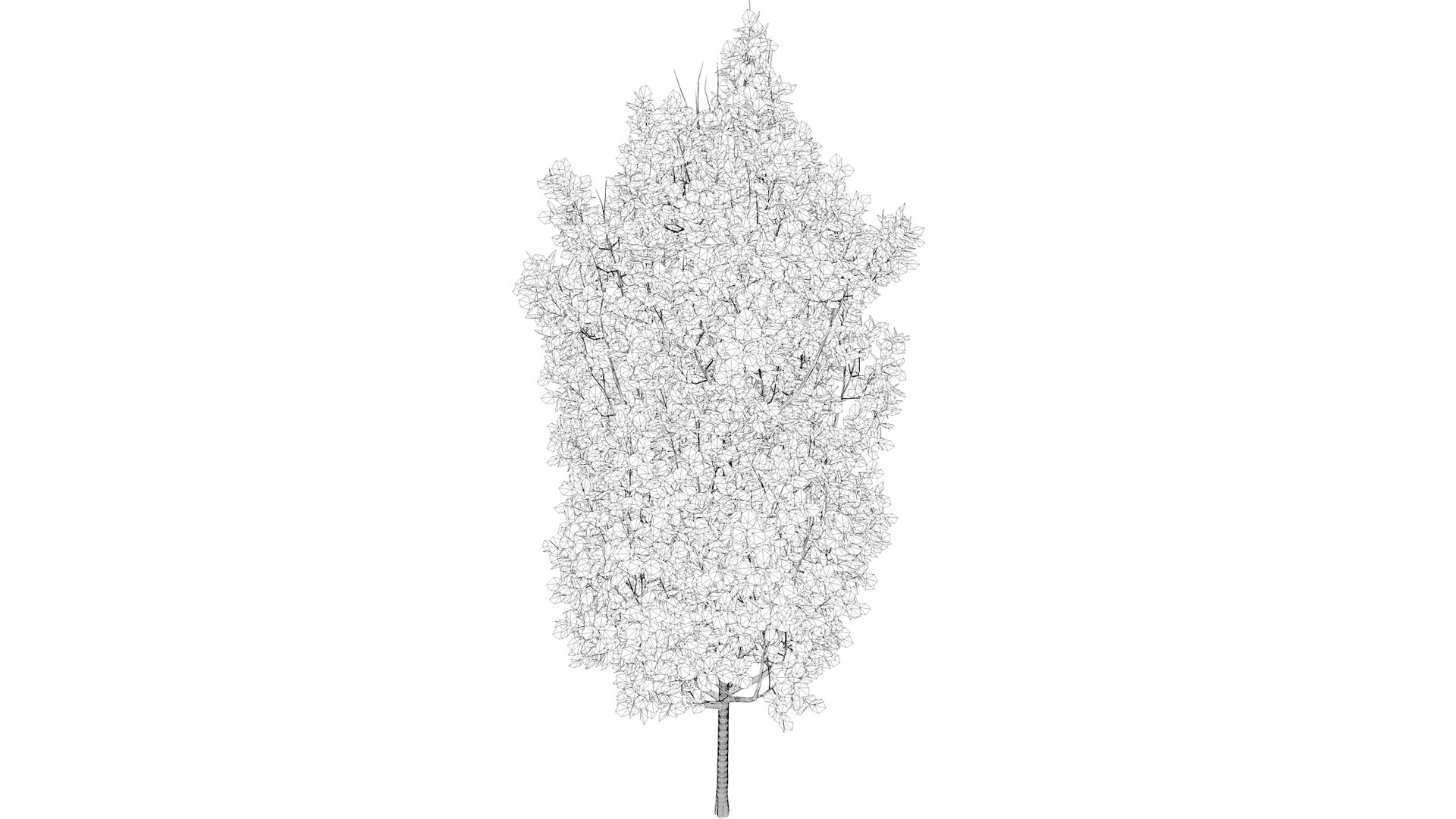 Cypress Oak Tree - 04 - 3D Model - TurboSquid 2375796