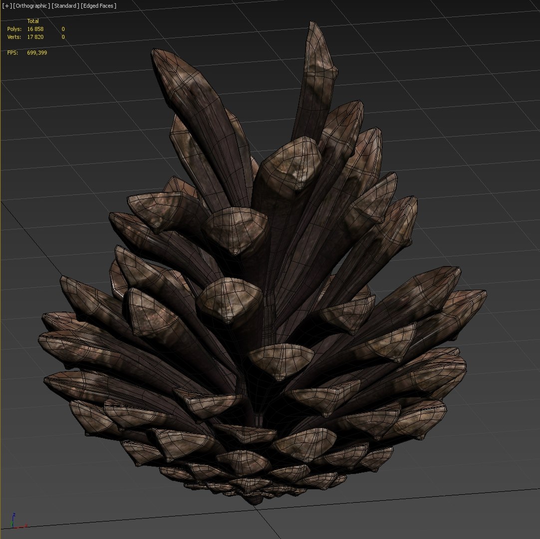 Pine Cone 3D Model - TurboSquid 1692072