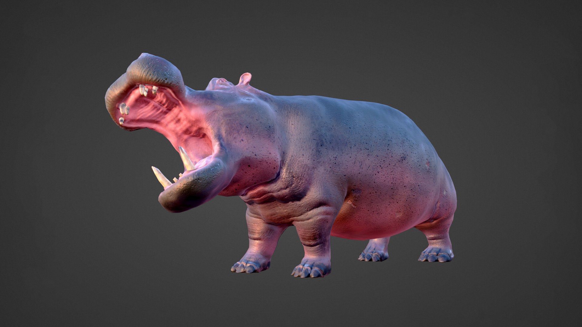 3D Hippo - Rigged Low-poly 3D Model - TurboSquid 2070321