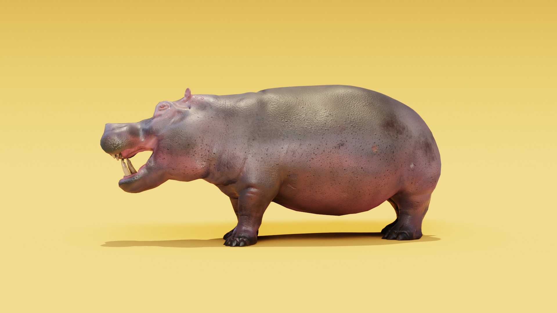 3D Hippo - Rigged Low-poly 3D Model - TurboSquid 2070321