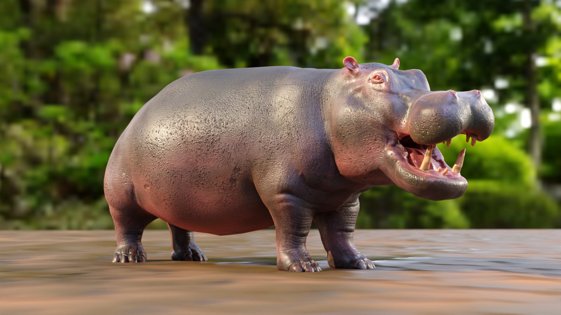 3D Hippo - Rigged Low-poly 3D Model - TurboSquid 2070321