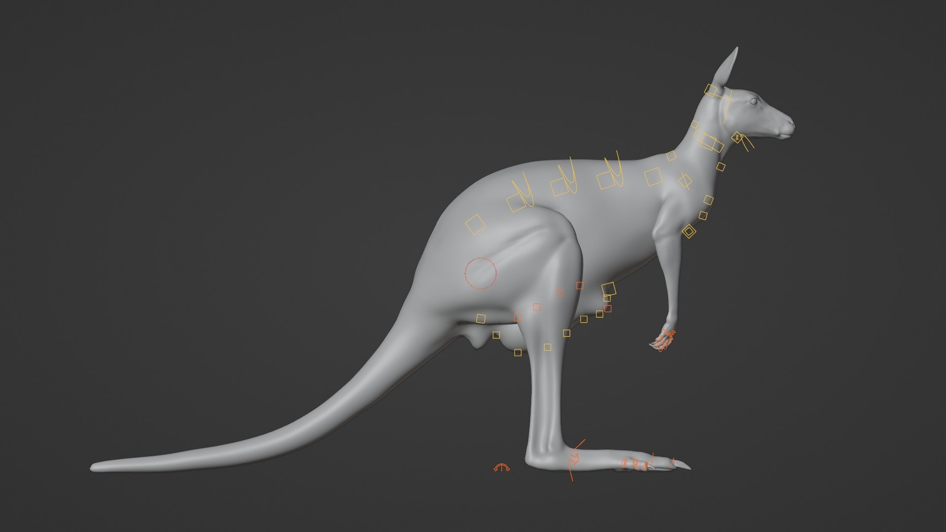 Female Kangaroo Animation model - TurboSquid 2075740