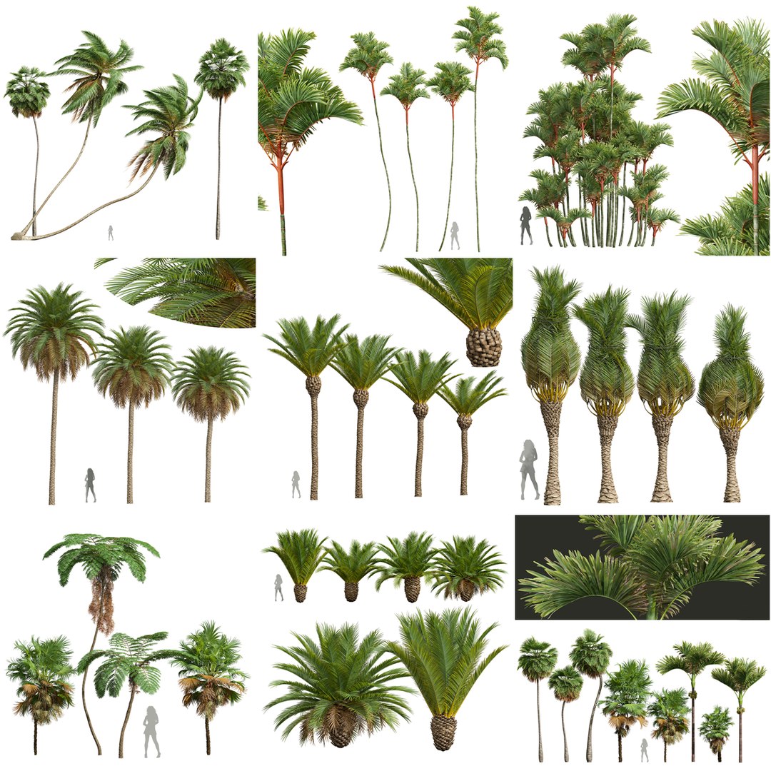 9 Different SETS Of Tree Set Vol 24 3D - TurboSquid 2185852