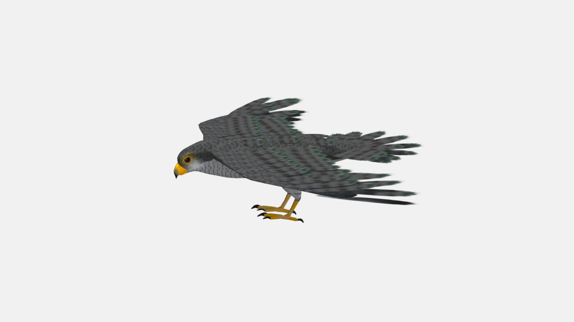 3D model falcon - TurboSquid 2042886