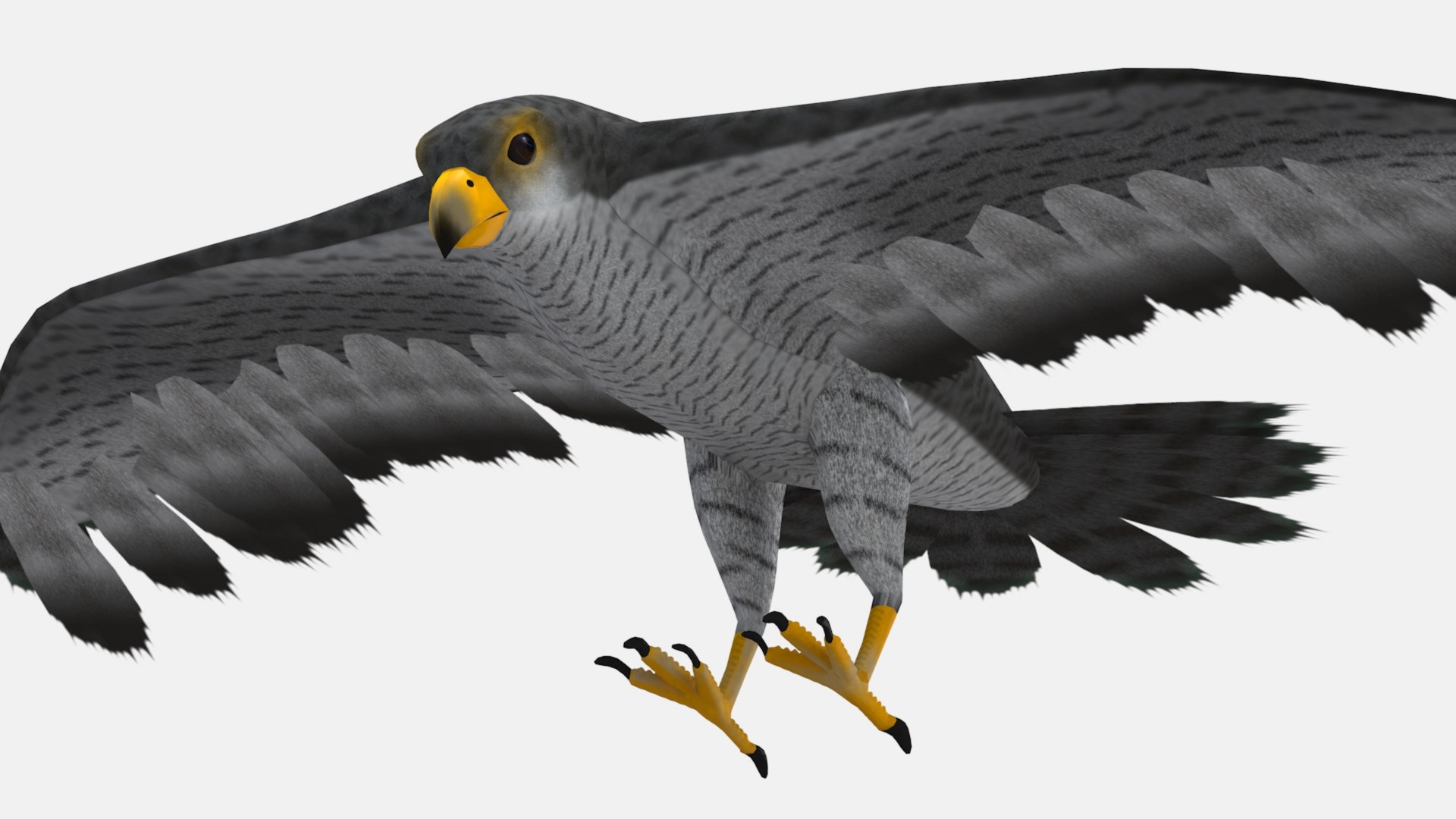 3D model falcon - TurboSquid 2042886