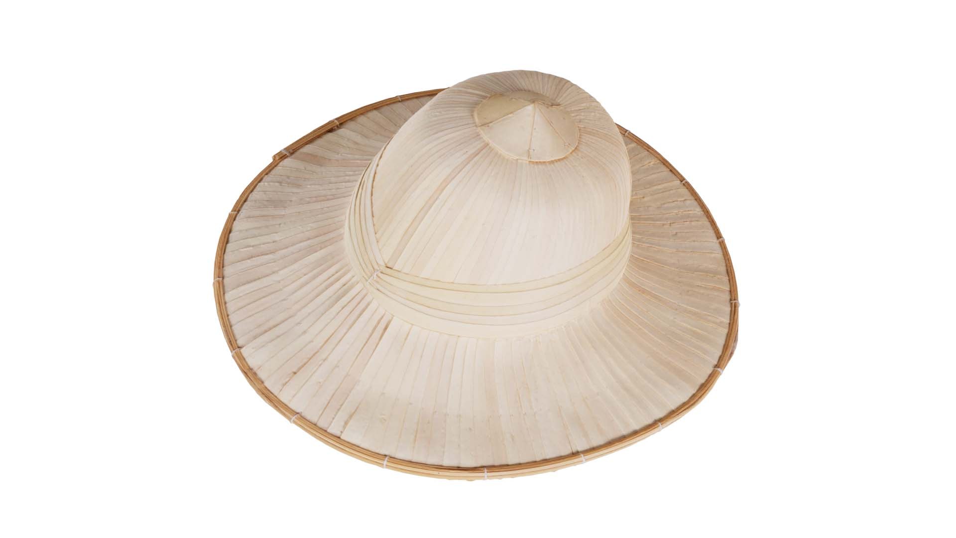 Tropical Hat Remastered 3D Model - TurboSquid 2361361