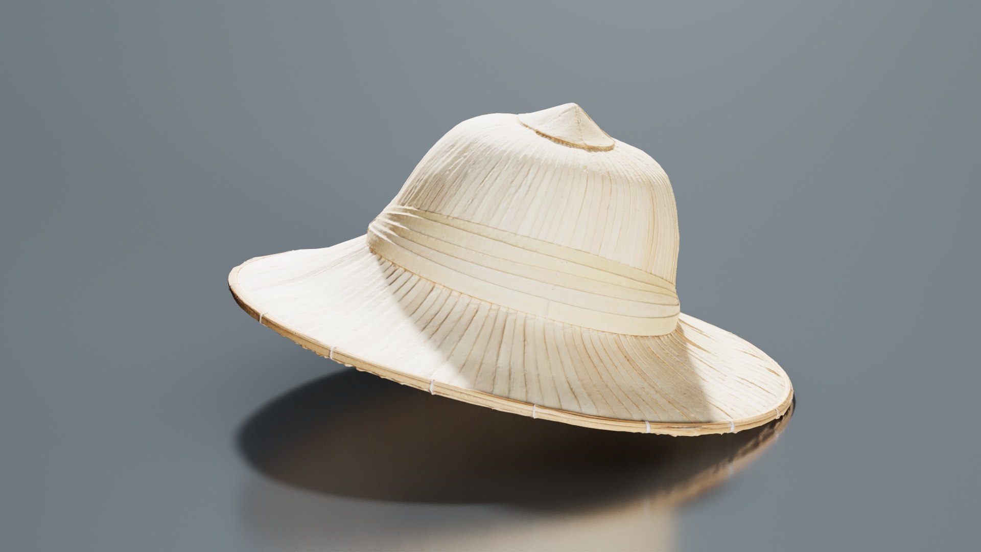 Tropical Hat Remastered 3D Model - TurboSquid 2361361