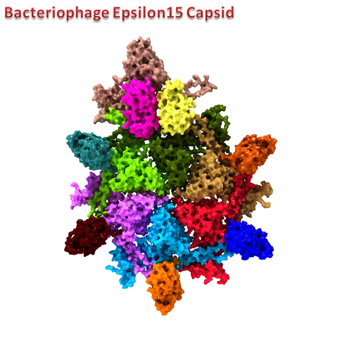 3d model 20 proteins