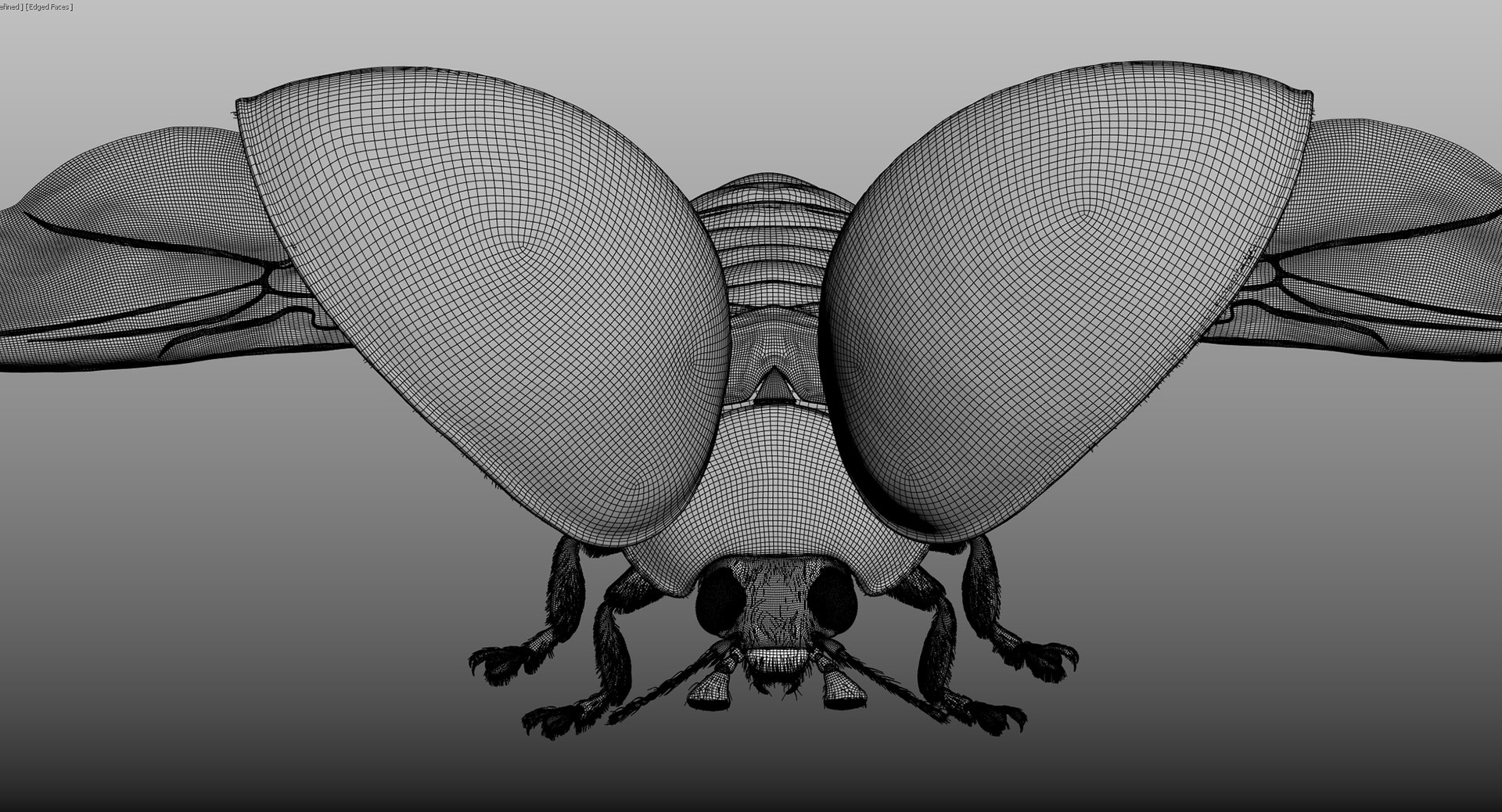 Ladybug Fur Ornatrix 2 3D Model - TurboSquid 1186265