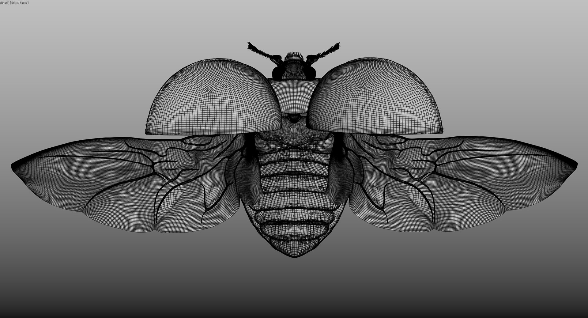 Ladybug Fur Ornatrix 2 3D Model - TurboSquid 1186265