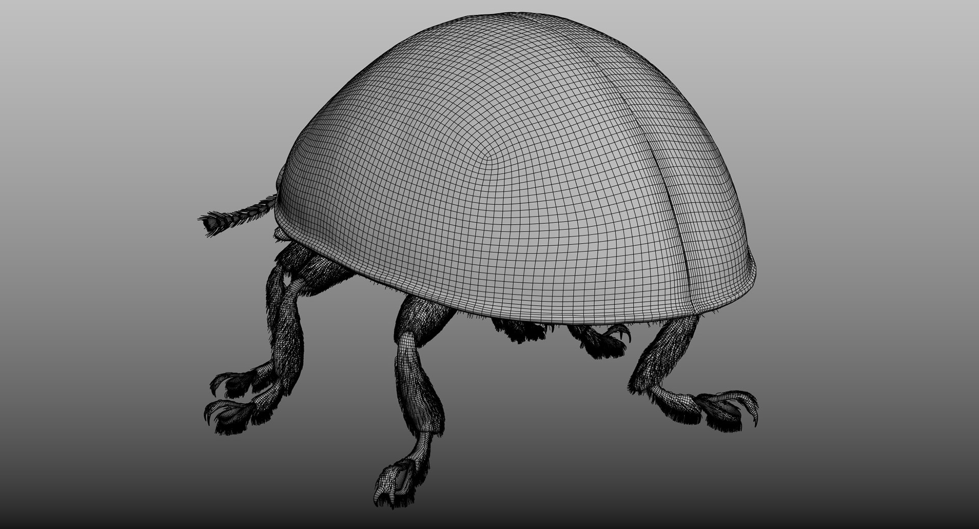 Ladybug Fur Ornatrix 2 3D Model - TurboSquid 1186265