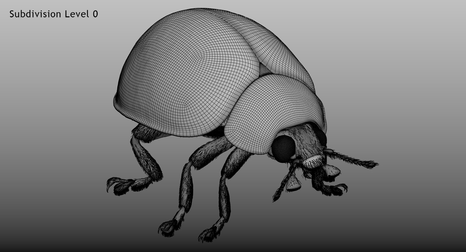 Ladybug fur ornatrix 2 3D model - TurboSquid 1186265