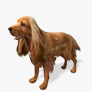 model s dog cocker spaniel