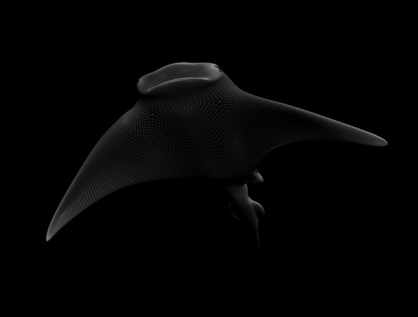 Free 3D Stingray Models | TurboSquid