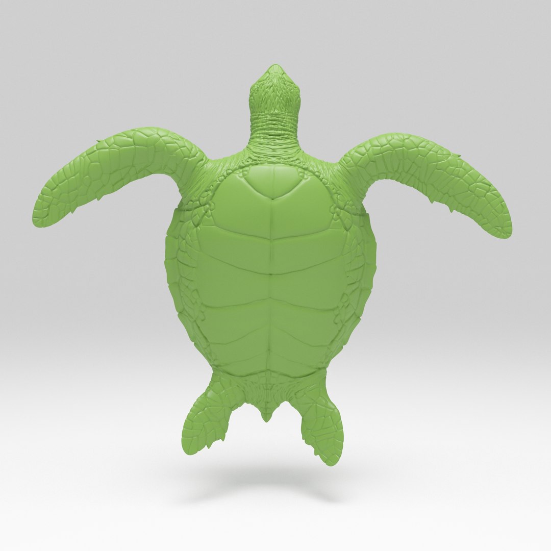 Turtle Print 3D Model - TurboSquid 1946713
