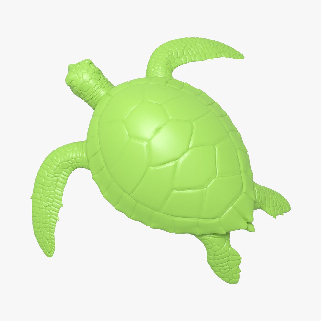 modelo 3d Turtle print - TurboSquid 1946713